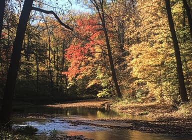 Locations | Wally World Riverside Resort